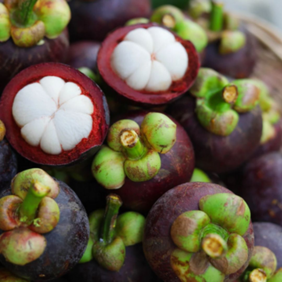 Ochutnejte mangostan: Zdravotní přínosy a použití