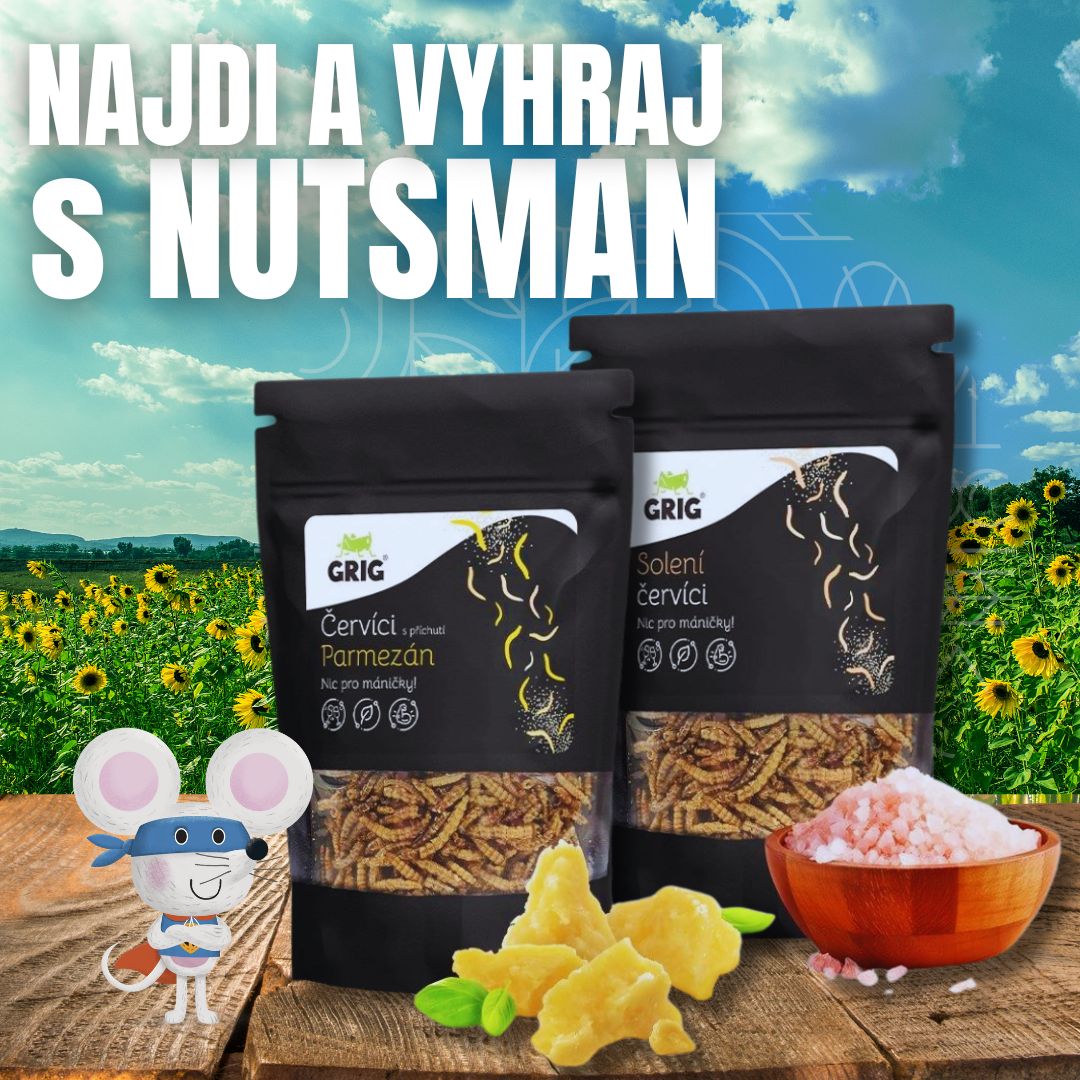 Najděte a Vyhrávejte Soutěže s NUTSMAN - Odpovězte a Získejte Šance na ...