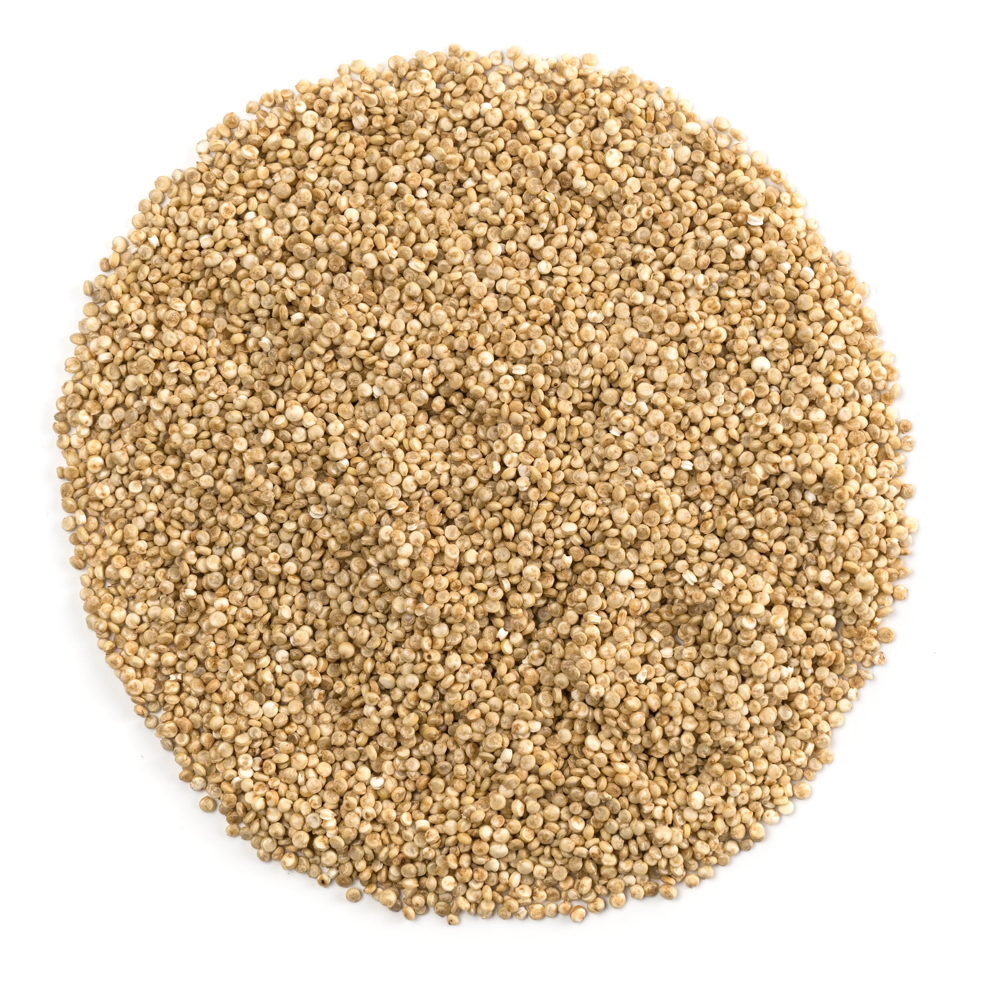Quinoa –⁠ Merlík chilský | Poklad Inků | NUTSMAN